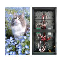 China P2.6 Indoor Fixed LED Display 500x1000mm Front Service For Television Studios for sale