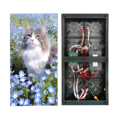 China P2.6 Indoor Fixed LED Display SMD2020 500x1000mm Front Service For Churches for sale