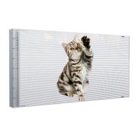 China P3.9 P6.25 Indoor Holographic Transparent LED Display 70% Transparency for sale