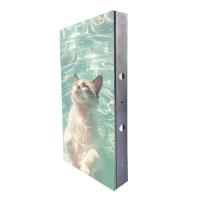 China P2.6 Indoor Fixed LED Display Front Maintenance 500x1000mm For Churches for sale