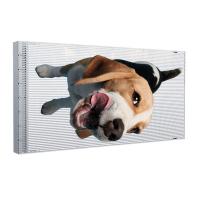 China P8 Adhesive Transparent LED Display 80% Transparency 3000nits For Store Window for sale
