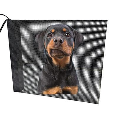 China P3.9 Indoor Holographic Transparent LED Display 80% Transparency For Exhibitions for sale