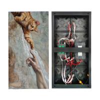China P2.6 Indoor Fixed LED Display SMD2020 Steel Cabinet - 500x1000mm Size, 600-1000 Nits Brightness for sale