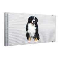 China P4 Adhesive Transparent LED Display SMD1921 Front Service 3.5KG/SQM for sale