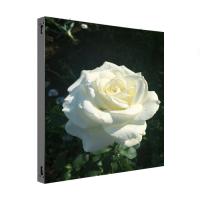 China P5.71 Outdoor Fixed LED Display SMD2727 960x960mm 6000nits Black / White Cabinet for sale