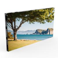 China P1.25 Flip-COB Small Pixel Pitch LED Display With Die-casting Aluminum Cabinet for sale