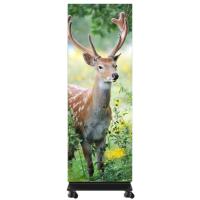 China P0.9 LED Poster Display Die-casting AL 29.5mm thickness Foldable With 4 Wheels for sale