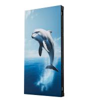 China P4.8 Outdoor Fixed LED Display 500X1000mm Aluminum profile IP65 19.5kg for sale