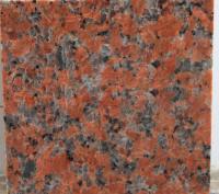 China G681/G684/G365/G682/G603/G654/G640/G687/Biancosardo/Cristal White/Grey/Red/Yellow/Brown/Beige/Green/Black Cheap Granite for sale