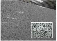 China G439 Royal Whit Rosa Classico Bianco Sardo Bianco Rio Big White Flower Paulin White Light Grey Granite stone tiles slabs for sale