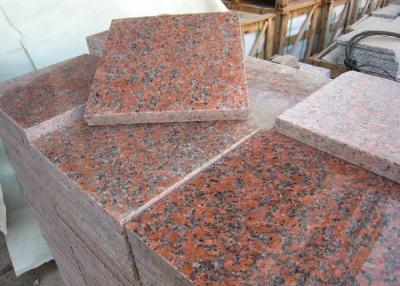 China Polished G562 Maple Leaf maple Red purple Rosa Pink dark red Granite stone tiles slabs for sale