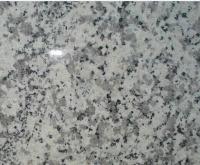 China Solid Surface Granite Stone Floor Tiles , Gray Natural Granite Stone Slabs for sale
