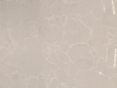 China Bathroom / Kitchen Countertop Slabs , Polished Finish White Quartzite Slabs for sale