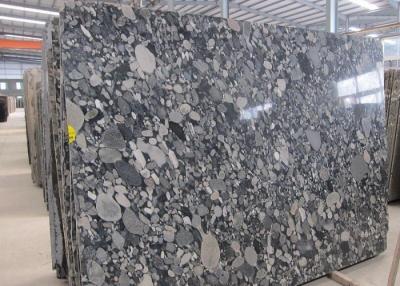 China Mosaic Black Granite Slab For Work Top , High Hardness Granite Stone Slabs for sale