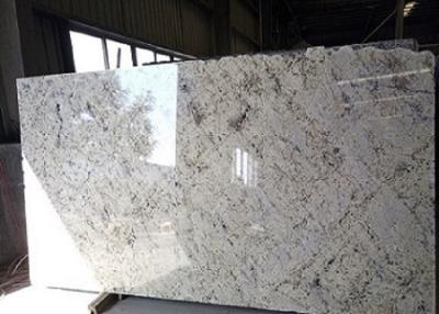 China Pure White Galaxy Natural Stone Slabs For Household Edge Optional for sale