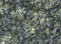 China Butterfly Blue Granite Stone Tiles For Restaurants Flooring Countertop for sale