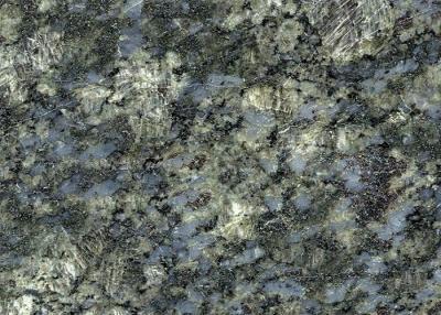 China Butterfly Blue Granite Stone Tiles For Restaurants Flooring Countertop for sale