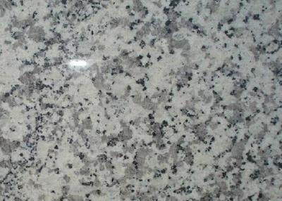 China Large Size Granite Stone Tiles 2cm Thickness Hotel / Home Decoration Suit for sale