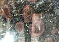 China Black Gold Polished Granite Tiles , High Density Granite Countertop Slabs for sale