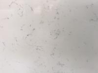 China White Quartz Solid Stone Countertops For Kitchen 2.5 G / Cm3 Bulk Density for sale