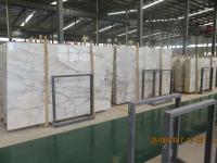 China Beautiful White Color Natural Marble Floor Tile 1.8 Cm Thickness Big Slab for sale