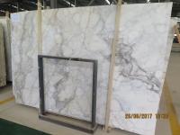 China Beautiful White Color Natural Marble Floor Tile 1.8 Cm Thickness Big Slab for sale