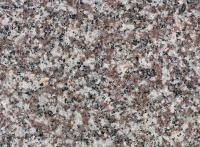 China Granites Natural Stone Slabs Polished Finish 240up X1200up X 2cm Big Slabs for sale