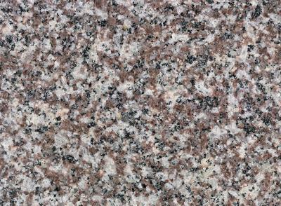 China Granites Natural Stone Slabs Polished Finish 240up X1200up X 2cm Big Slabs for sale