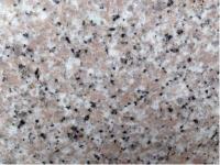 China Granites Natural Stone Slabs Polished Finish 240up X1200up X 2cm Big Slabs for sale