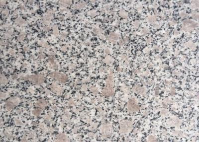 China GranitE G383 Material Bianco Antico Granite Slab Grey Flower Pearl Color for sale