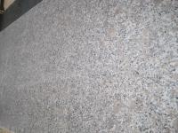 China GranitE G383 Material Bianco Antico Granite Slab Grey Flower Pearl Color for sale