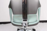 China Foam Mid Back Ergonomic Office Chair Executive Swivel Fixed Armrest for sale