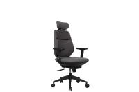 China Unigamer Adjustable Double Airbag Lumbar Support  Office Chair App Control Automatic Adapte Executive Ergonomic PC Chair for sale