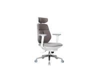 China Adaptive Spring Adjustment Ergonomic PC Chair Gray Double Airbag for sale