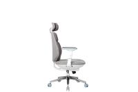 China Adaptive Spring Adjustment Ergonomic PC Chair Gray Double Airbag for sale