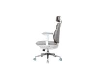 China Adaptive Spring Adjustment Ergonomic PC Chair Gray Double Airbag for sale