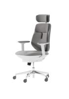 China 19.05 KG Double Airbag Lumbar Support Office Chair Executive Ergonomic PC Chair for sale