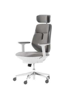 China 19.05 KG Double Airbag Lumbar Support Office Chair Executive Ergonomic PC Chair for sale