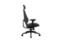 China New Design Aluminum Supported Back Frame Ergonomic Mesh Office Chair for sale