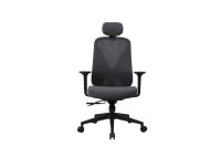 China New Design Aluminum Supported Back Frame Ergonomic Mesh Office Chair for sale