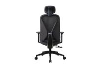 China New Design Aluminum Supported Back Frame Ergonomic Mesh Office Chair for sale