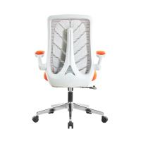 China Eco Friendly Ergonomic Computer Chair STG Mechanism Adaptive Coil Spring Office Chair for sale