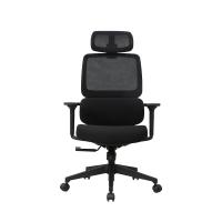 China High Back Office PA Ergonomic Mesh Desk Chair For Unique Computer Task for sale