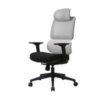 China Home Office Chair with 3D Adjustable Armrest Desk Chair High Back Mesh Computer Chair with 3D Adjustable Headrest for sale