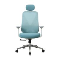 China Blue ergo task office chair Nylon Ergo Executive Mesh Chair for sale