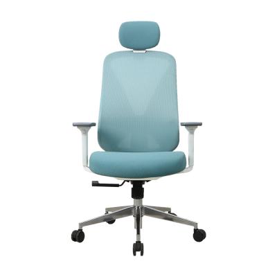 China Blue ergo task office chair Nylon Ergo Executive Mesh Chair for sale