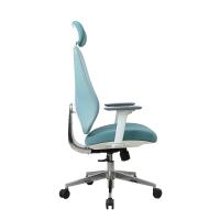 China Blue ergo task office chair Nylon Ergo Executive Mesh Chair for sale