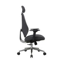 China Nylon Ergonomic Swivel Computer Mesh Chair With Lumbar Support for sale