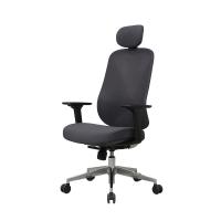China Infinity Ergonomic Home Office Chair Blue 330 Polished Ergo Mesh Seat Desk Chair for sale