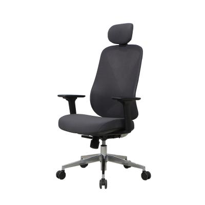 China Infinity Ergonomic Home Office Chair Blue 330 Polished Ergo Mesh Seat Desk Chair for sale